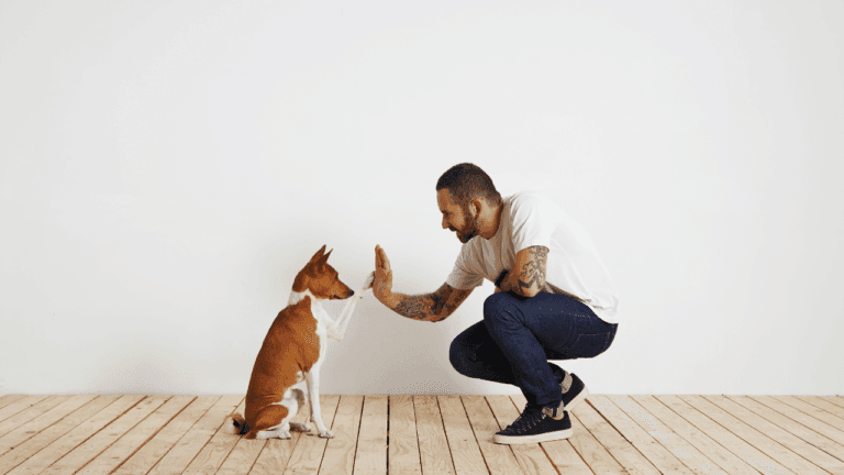 Is It Normal for a Dog to Sit Like a Human? Explained - Everything ...